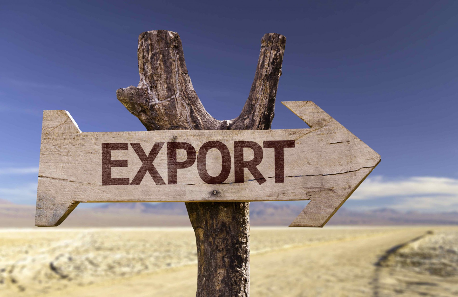Export tree Ellecubica export-tree-ellecubica